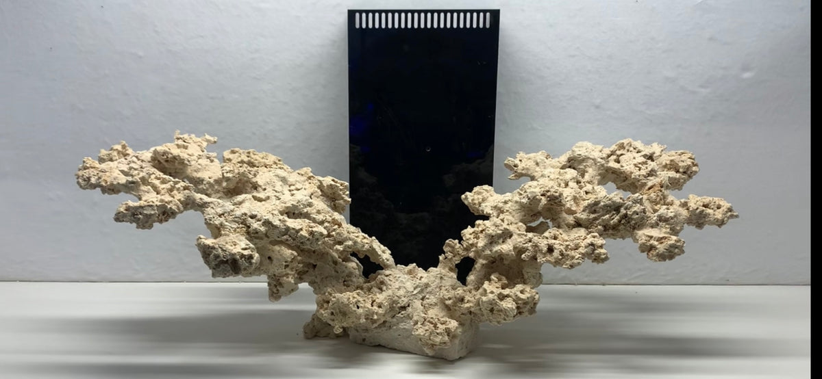 Neptune's Reef – Reef Scape Designs