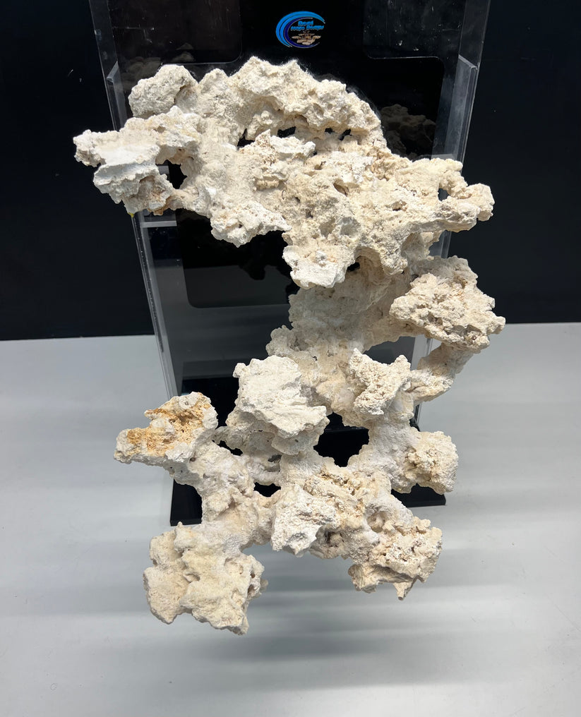 Floating Aquascape – Reef Scape Designs