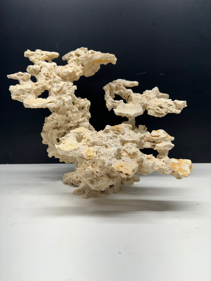 Saltwater Aquascaping: Making a beautiful and functional aquascape ...