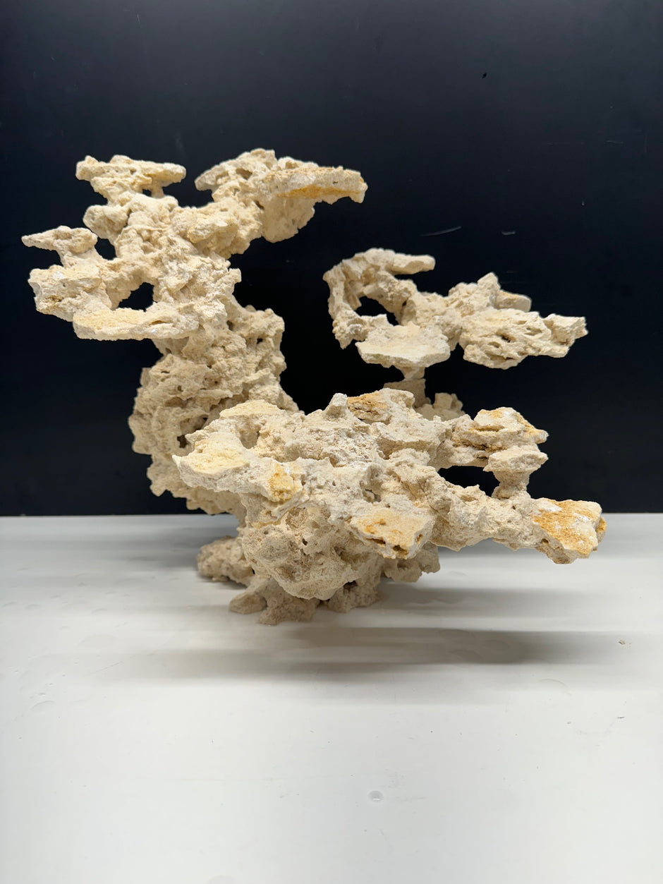 Saltwater Aquascaping: Making a beautiful and functional aquascape ...