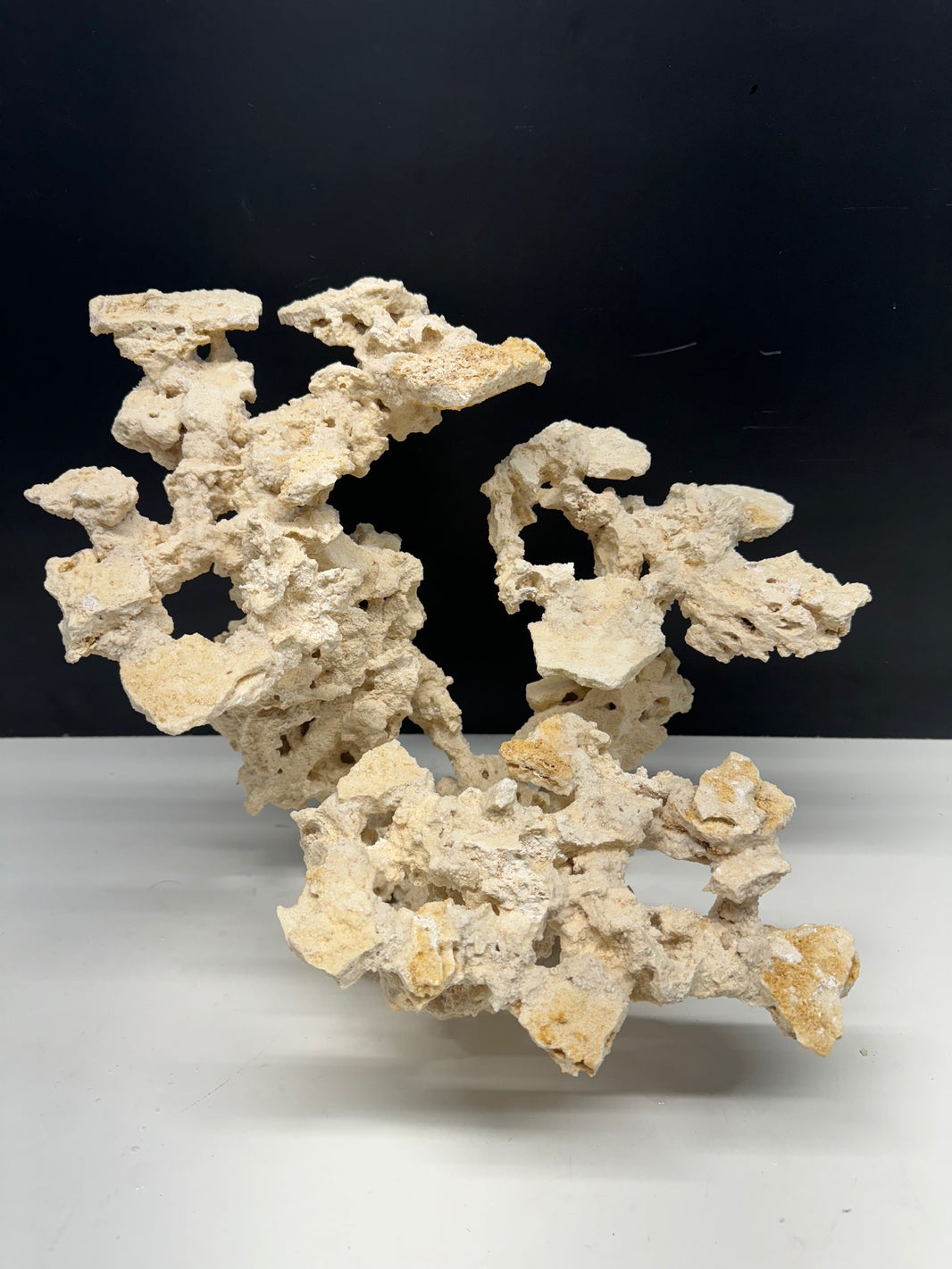 Saltwater Aquascaping: Making a beautiful and functional aquascape ...