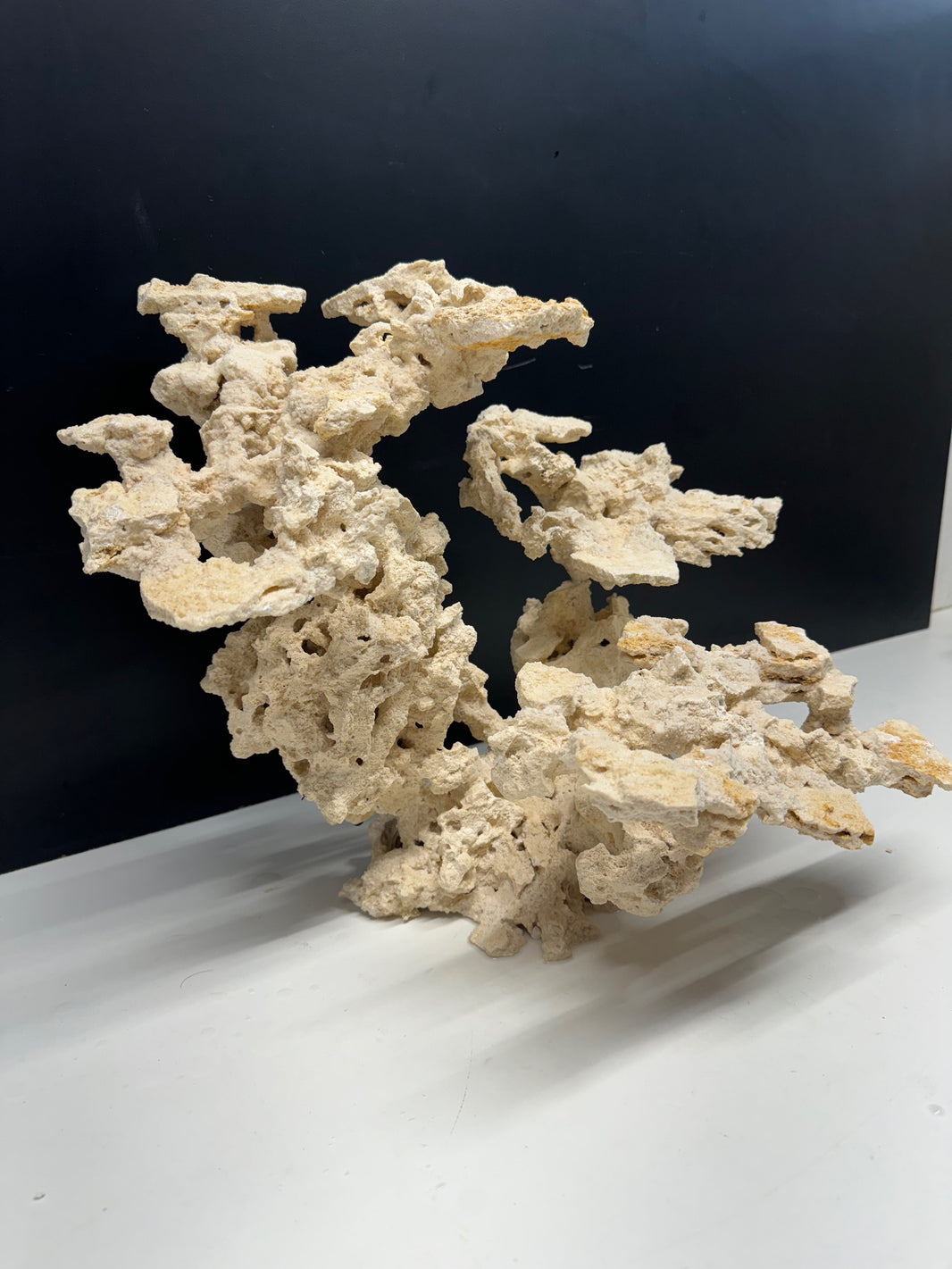 Saltwater Aquascaping: Making a beautiful and functional aquascape ...