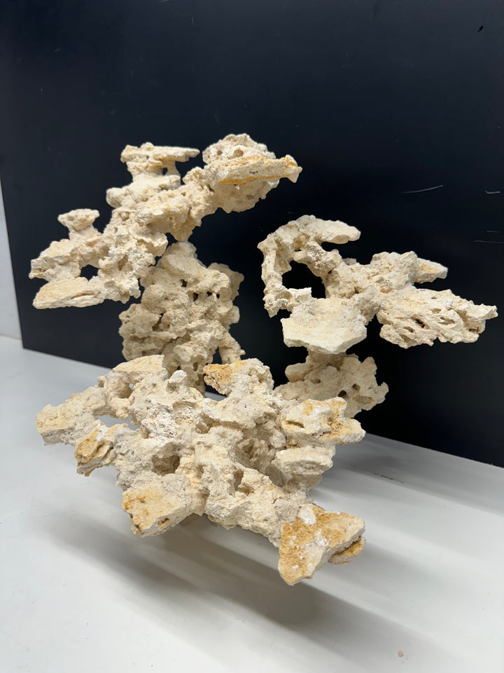 Saltwater Aquascaping: Making a beautiful and functional aquascape ...