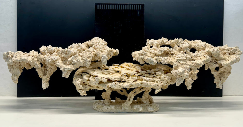 Saltwater Aquascaping: Making a beautiful and functional aquascape ...