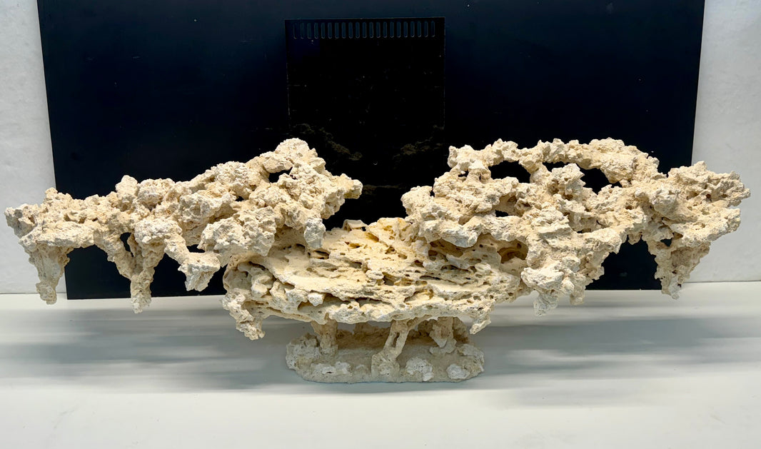 Saltwater Aquascaping: Making a beautiful and functional aquascape ...