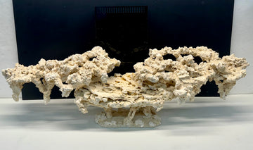 Saltwater Aquascaping: Making a beautiful and functional aquascape ...