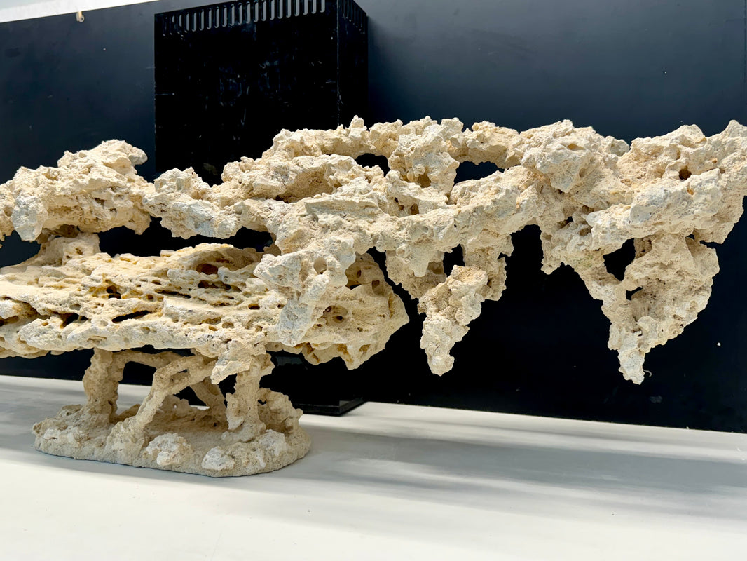 Saltwater Aquascaping: Making a beautiful and functional aquascape ...