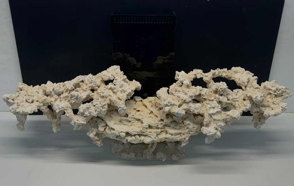 Saltwater Aquascaping: Making a beautiful and functional aquascape ...