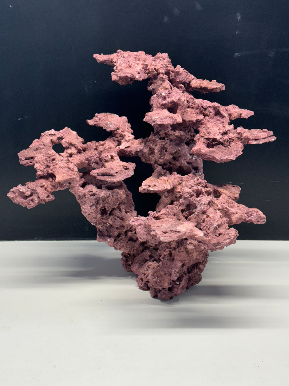 Saltwater Aquascaping: Making a beautiful and functional aquascape ...