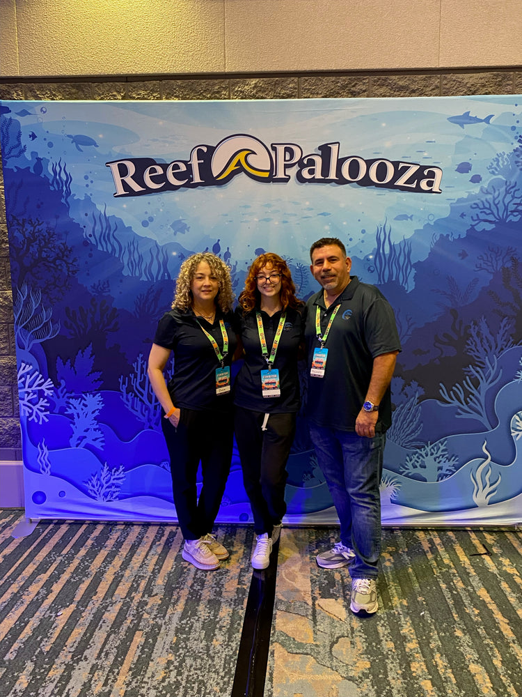 Top Lids – Reef Scape Designs