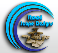 Saltwater Aquascaping: Making a beautiful and functional aquascape ...