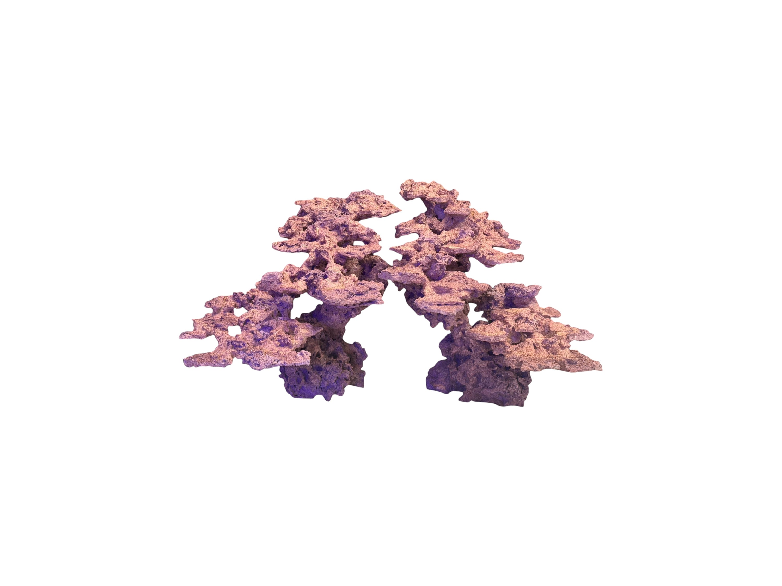 Saltwater Aquascaping: Making a beautiful and functional aquascape ...