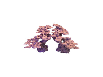 Saltwater Aquascaping: Making a beautiful and functional aquascape ...